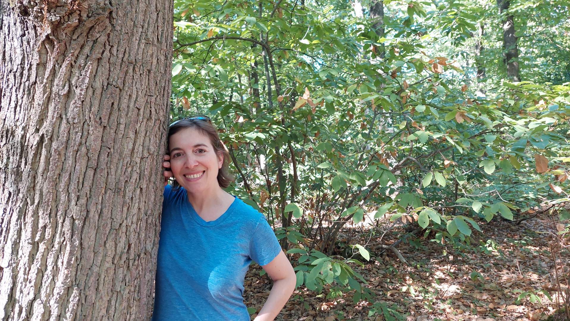 Jennifer Lesieur, "Dans les bois, nos racines" (Arthaud ...