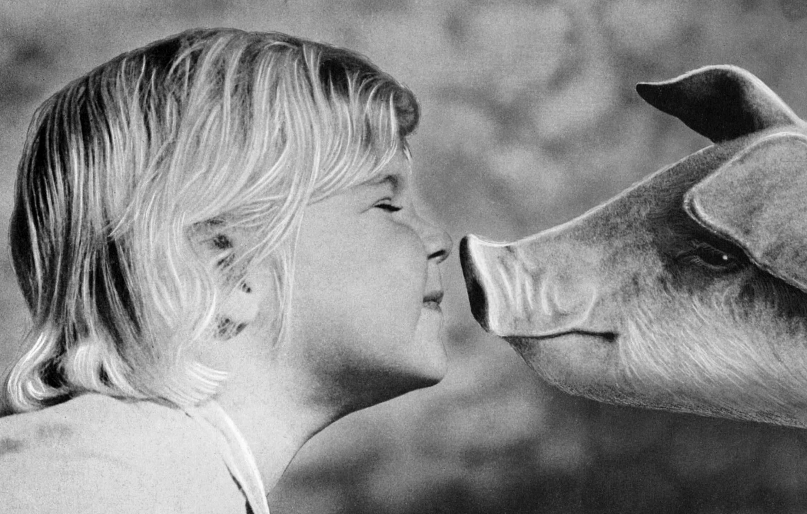 Hans Limmer, photographies de David Crossley, "Paulina et moi " (La ...