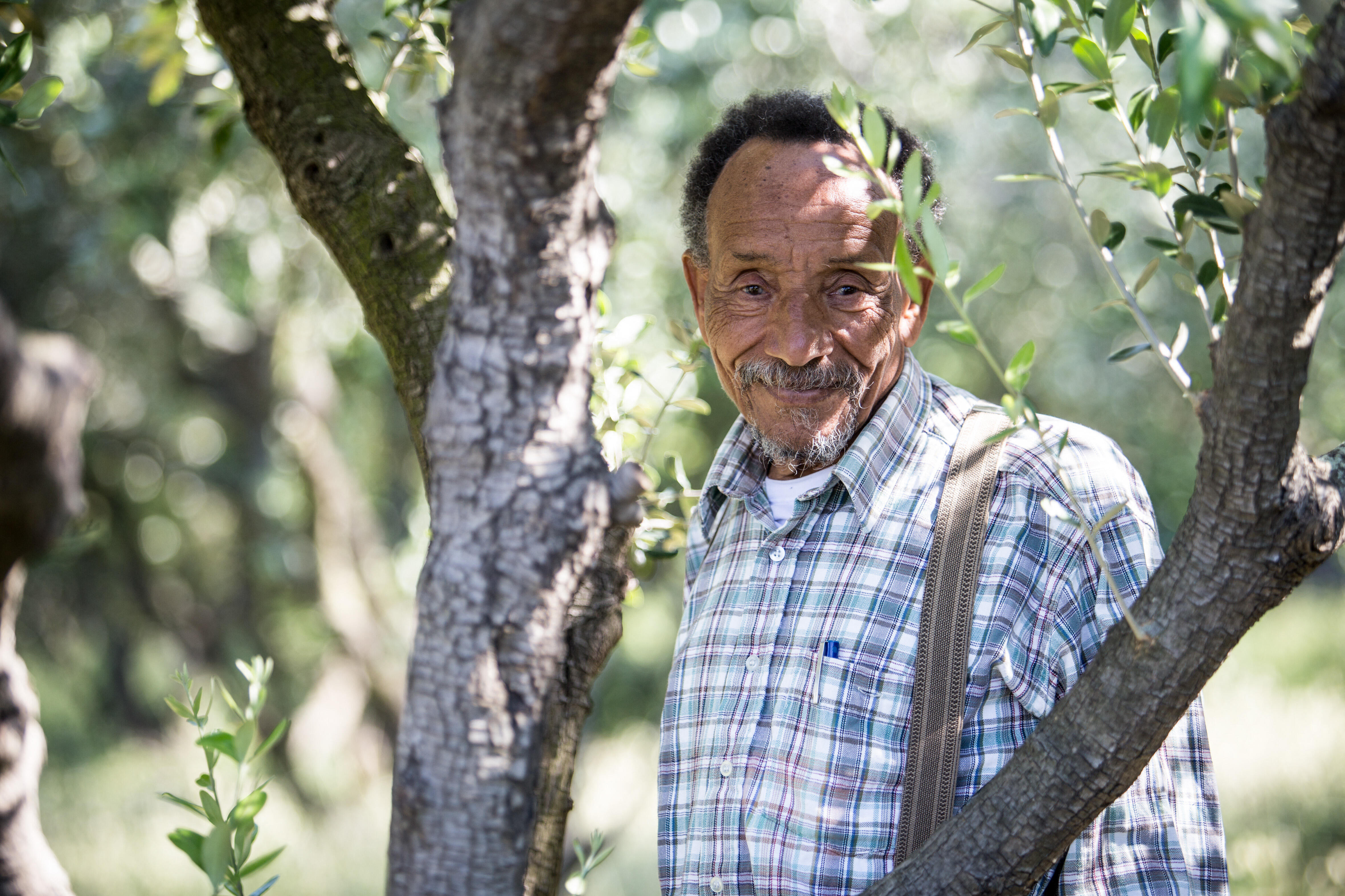 Editeurs, auteurs et écologistes signent une tribune pour Pierre Rabhi ...